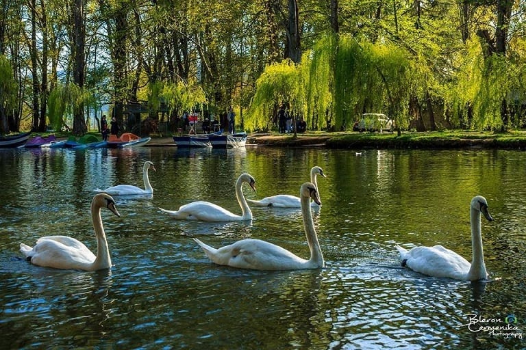 Drilon - Saint Naum - Tradition and Adventure